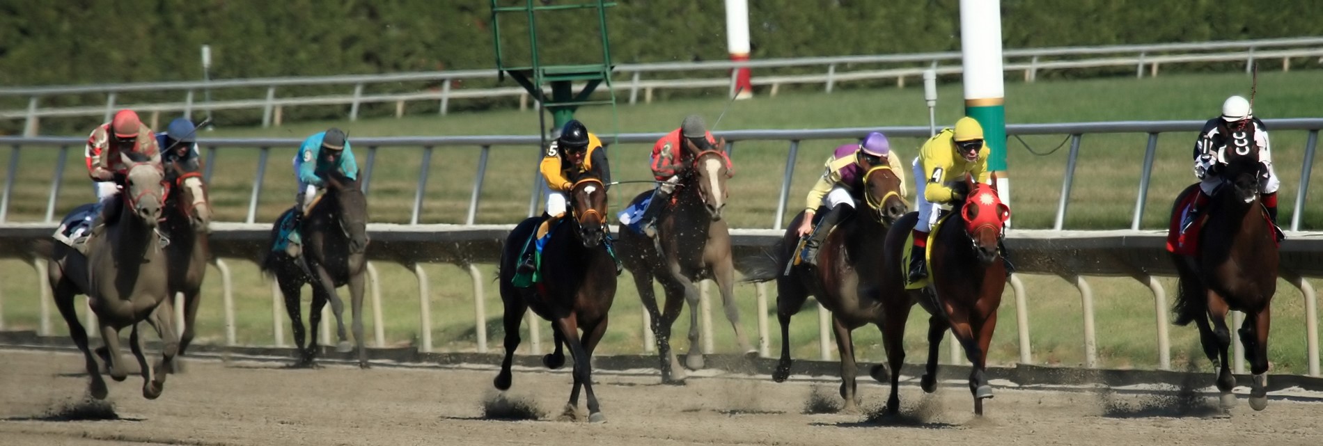 Horse Racing Packages - Thoroughbred Limousine